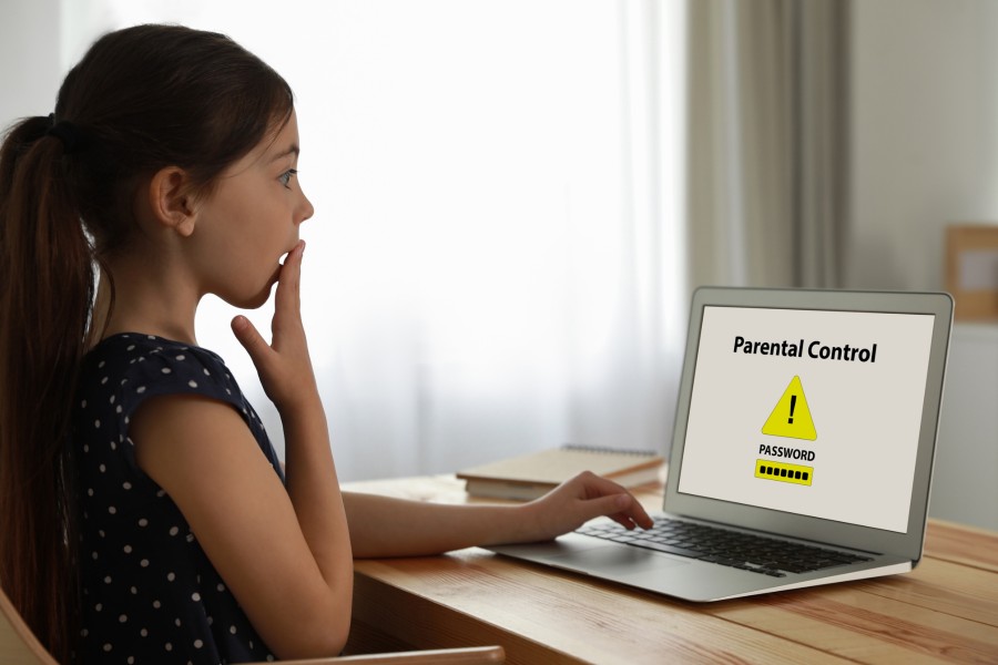 The Importance of Online Safety: A Guide for Parents – LAKEWISE